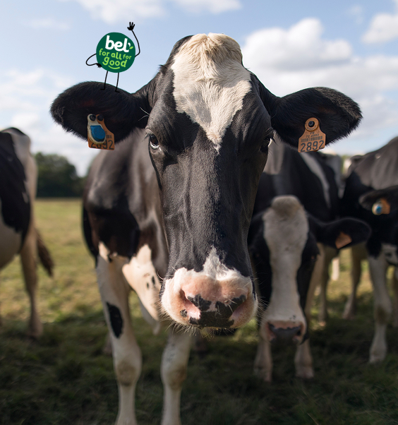 Bel Group | Cheese industry: dairy, fruit-based, and plant-based portions